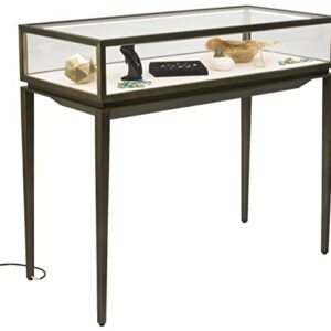 Displays2go Locking Display Table w/Rear Drawer, Stainless Steel Frame, LED Lights - Bronze (FSCSTLF7)