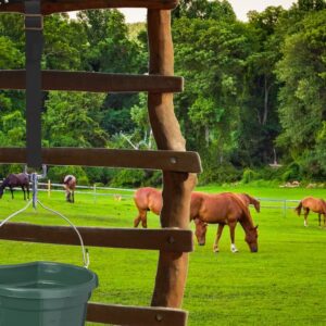 Loaged Adjustable Nylon Bucket Strap （5 Pack）- for Hay Nets, Water Buckets, Hanging Strap,Horse Outdoor Feeders,Heavy Duty Horse Water Feed, 30"