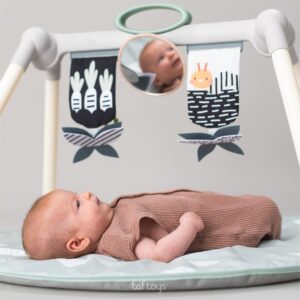 Taf Toys Foldable Baby Play Gym. Double Sided Infant Activity Center with Black, White & Color Toys, XL Baby-Safe Mirror & Activity Toys. Hanging Bar Toddler Toy Little Dove Baby Playmat