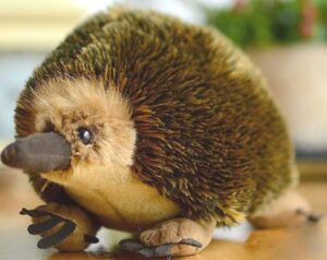 tammyflyfly lifelike echidna plush stuffed animal toy echidna animal model (20cm)