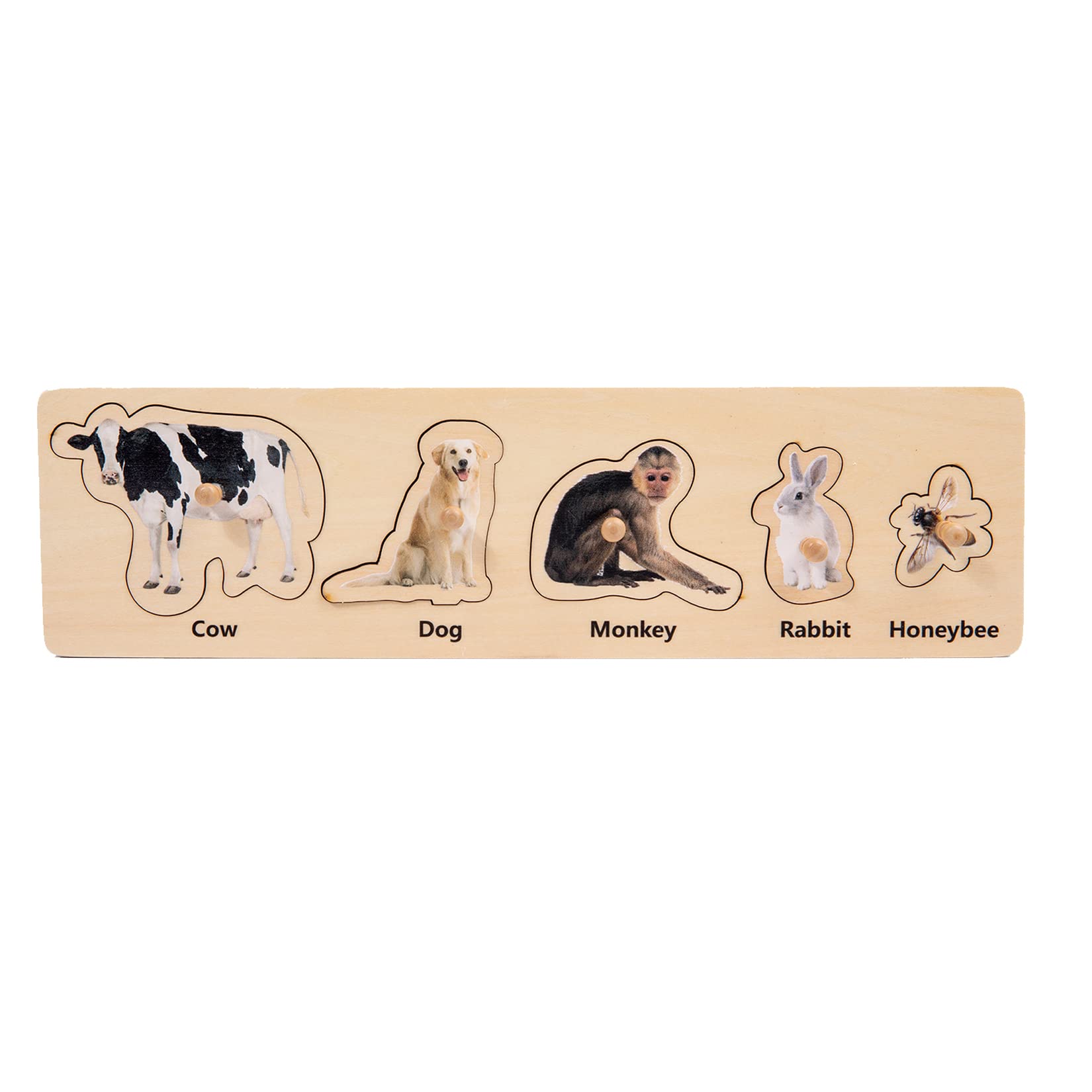 Adena Montessori AInteractive Animal Puzzle Set: Discover The World of Animals and Their Diets PuzzleToys for 2 Years Old Toddler Infant