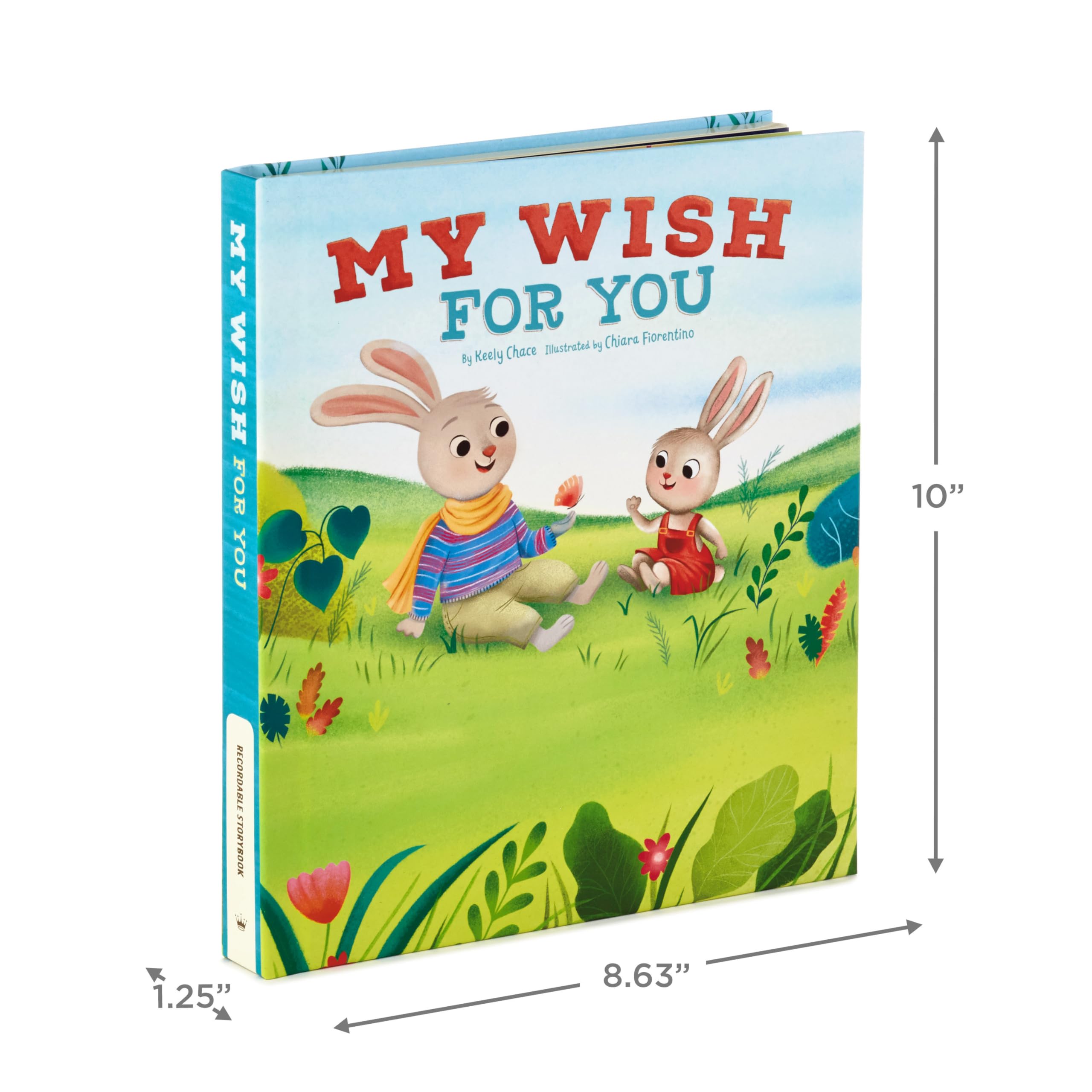 Hallmark Recordable Book for Children (My Wish for You)