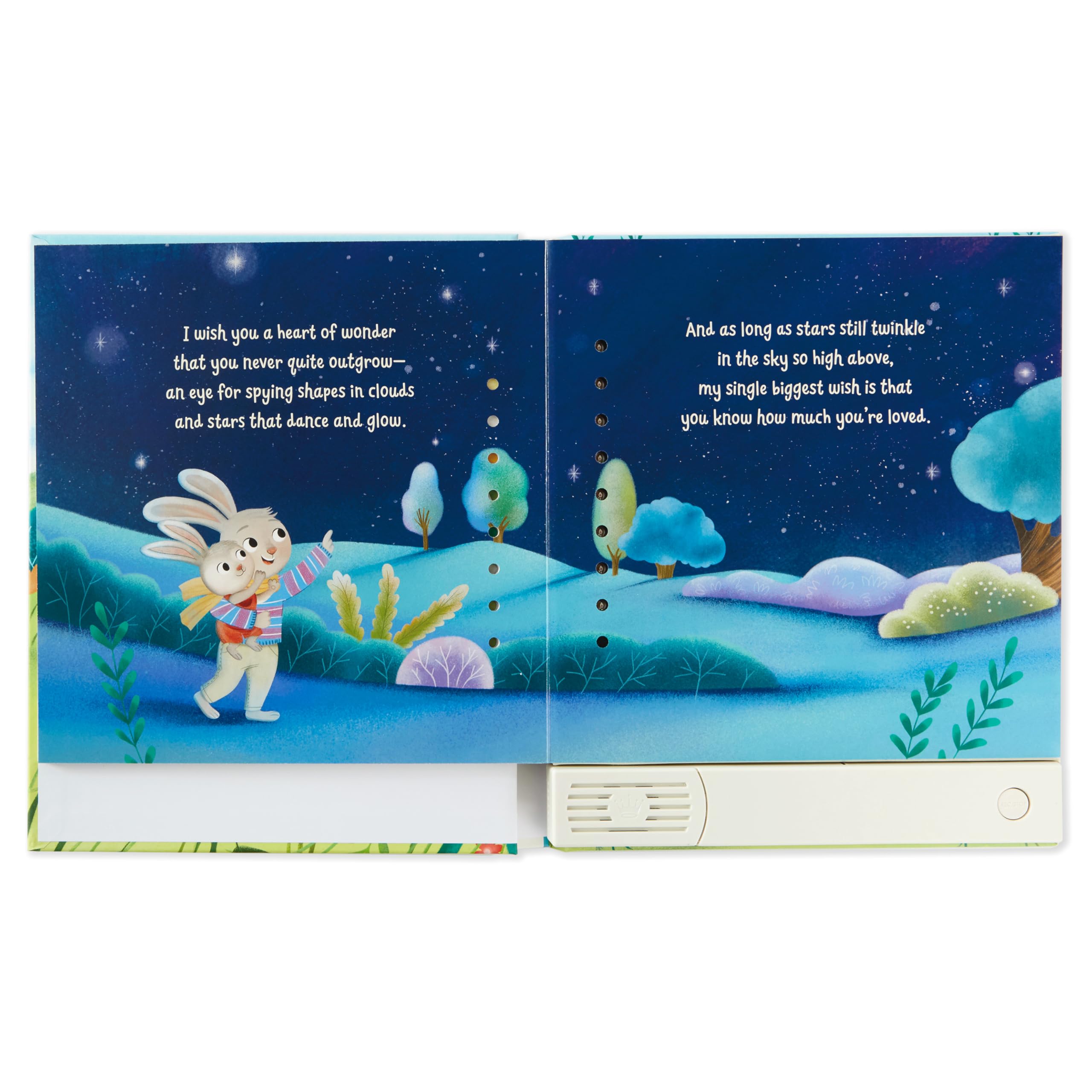 Hallmark Recordable Book for Children (My Wish for You)