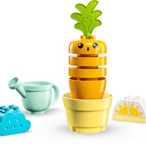 LEGO DUPLO My First Growing Carrot 10981, Stacking Toys for Babies 1.5+ Years Old with 4 Vegetable Bricks, Learning Educational Toy for Toddlers