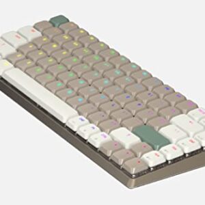 Azio Cascade Slim Mechanical Keyboard, 75% Layout, Low Profile Backlit RGB, Hotswap Switches and Keycaps, Wired USB-C or Bluetooth Wireless Connection (Gateron Brown Switches) (Forest Light)