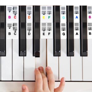 piano notes guide for beginner, removable piano keyboard note labels for learning, 88-key full size, made of silicone, no need stickers, reusable and comes with box, colorful