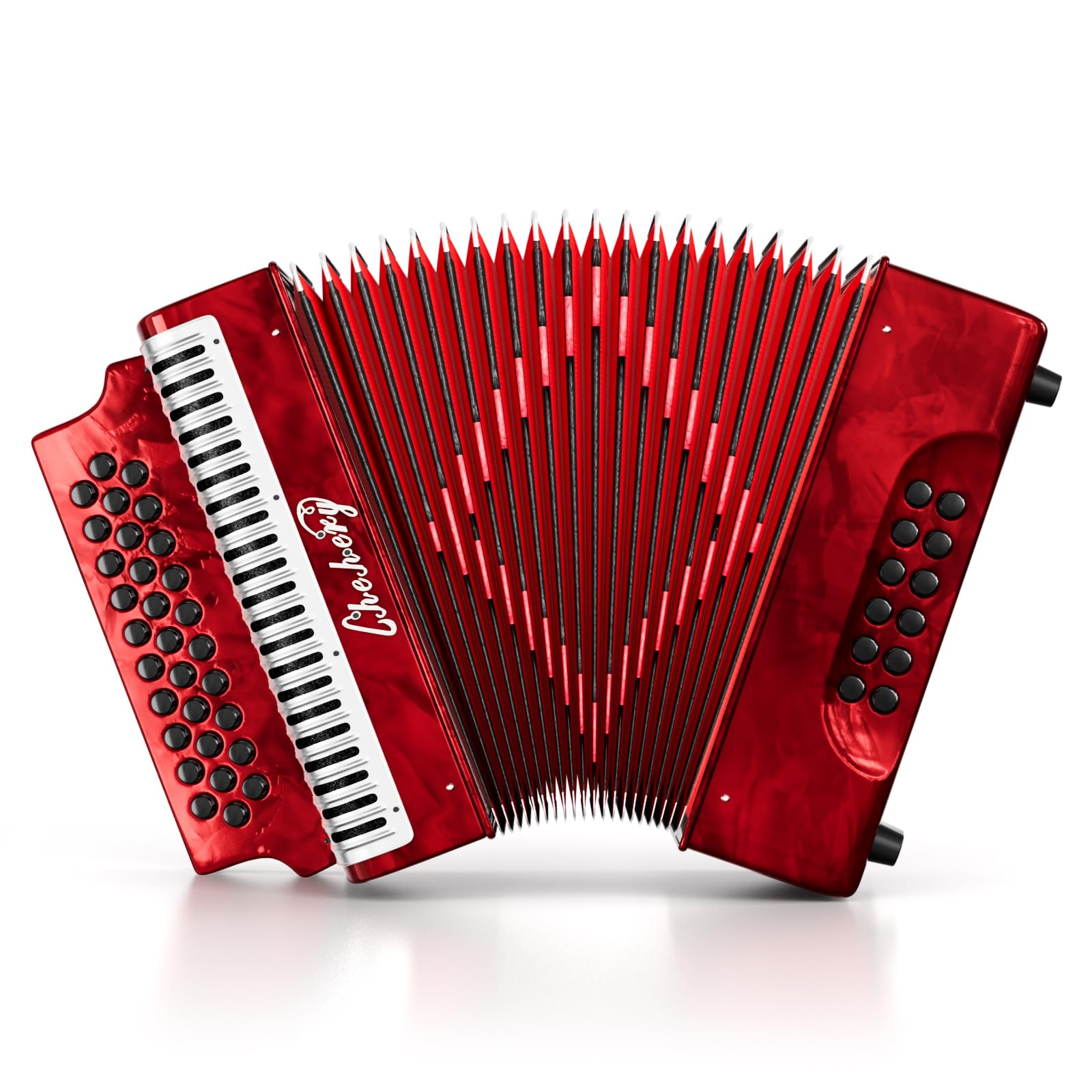 31-Key Diatonic Accordion, 12 Bass, G/C/F, Accordion Instruments for Adults With Suitcase, Cleaning Cloth, Straps and Gloves (Red)