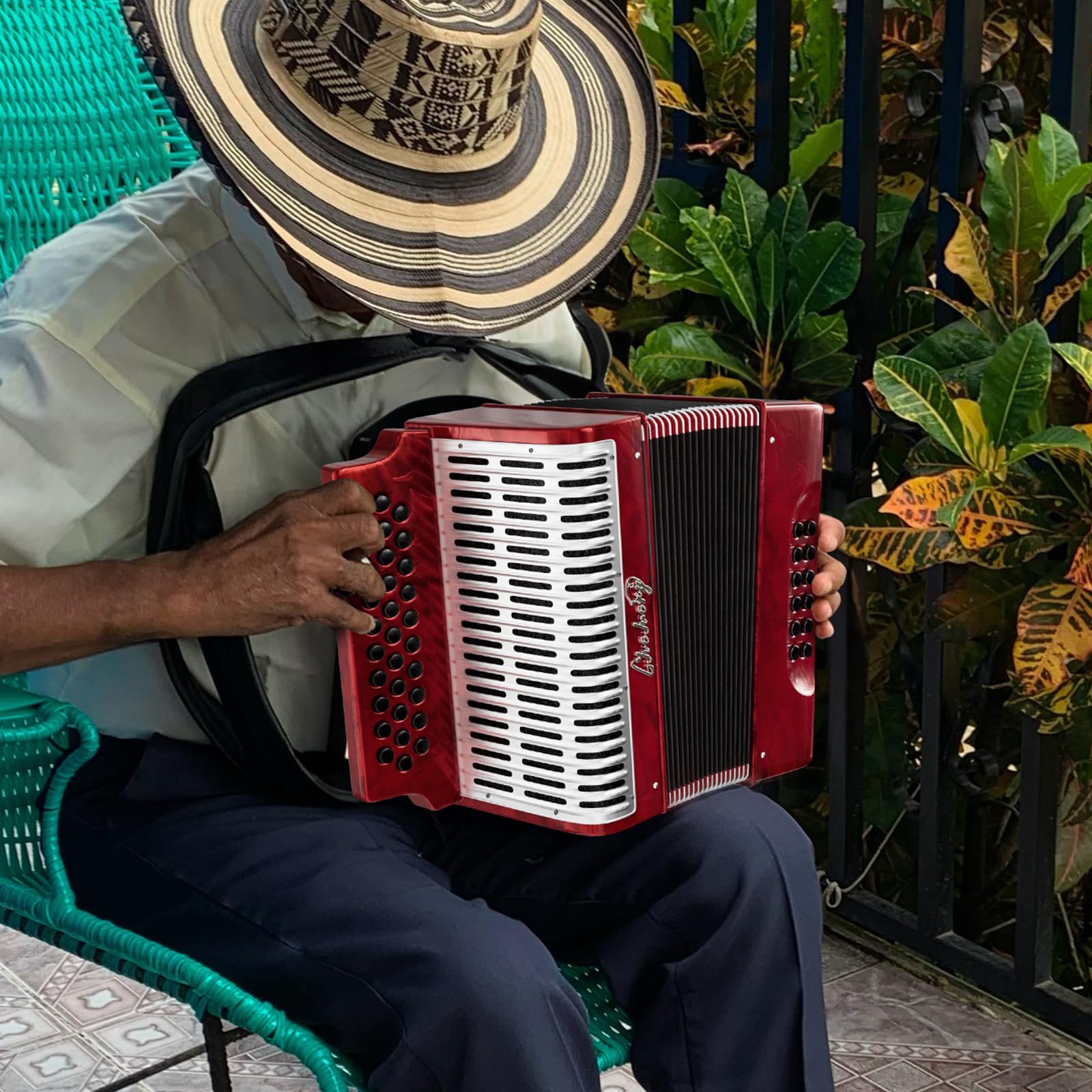 31-Key Diatonic Accordion, 12 Bass, G/C/F, Accordion Instruments for Adults With Suitcase, Cleaning Cloth, Straps and Gloves (Red)