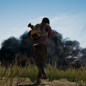 PLAYERUNKNOWN'S BATTLEGROUNDS (PS4) (Renewed)