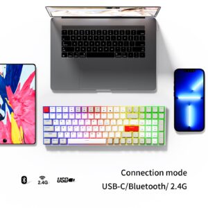 Newmen GM1000 96% Mechanical Keyboard,Wired/Bluetooth/2.4G Hot swappable Anti-Ghosting 100 Keys Mechanical Gaming Keyboard with RGB Backlit,for Windows Mac and Android(Brown)