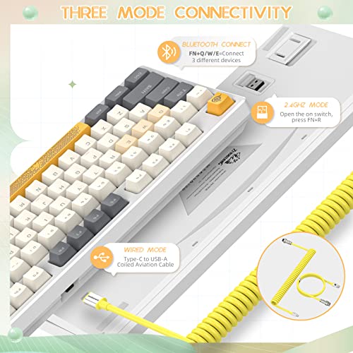 Wireless Gaming Keyboard and Wrist Rest Pad and Custom Coiled USB C Cable,Triple Mode TKL Hot Swappable Tactile Switches,LIGHTSYNC RGB,Mechanical Keyboard Palm Rest for PC PS5 PS4 Xbox Mac-3 in 1 Kit