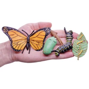 Montessori Life Cycle Animal Figures with Flash Cards, Plastic Insects Monarch Butterfly Kit Caterpillar Toy for Kids, Realistic Animal Figurines (Butterfly)