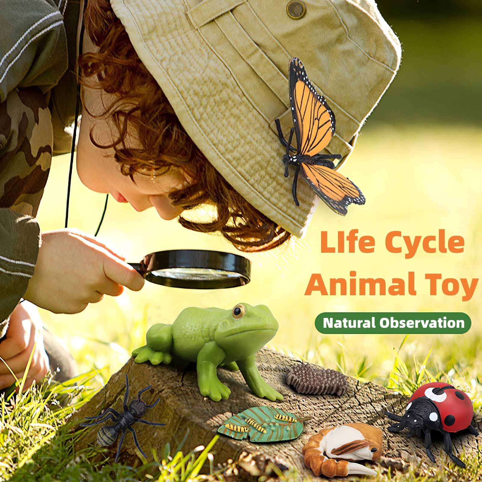 Montessori Life Cycle Animal Figures with Flash Cards, Plastic Insects Monarch Butterfly Kit Caterpillar Toy for Kids, Realistic Animal Figurines (Butterfly)