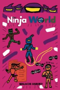 ninja world