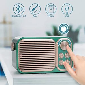 JIEFOCH Karaoke Machine for Kids & Adults, Portable Mini System with 2 Wireless Microphones & Bluetooth Connectivity,Sing Your Heart Out (Retro Green)