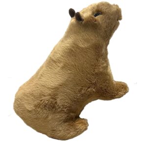 ECOBU 2pcs Capybara Stuffed Animal Plus Stuffed Animal Plush Toy,Rodent Plushie Small Cute Toy Gifts 8.6 Inch,Great Gifts for Children Aged 3 Years and Older Toys