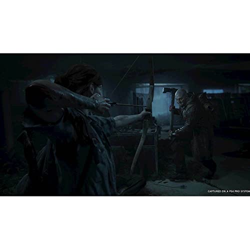 The Last of Us Part II Standard Edition - PlayStation 4, PlayStation 5