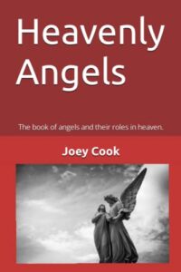 heavenly angels: the book of angels and their roles in heaven.