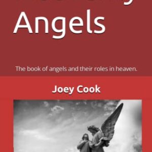 Heavenly Angels: The book of angels and their roles in heaven.