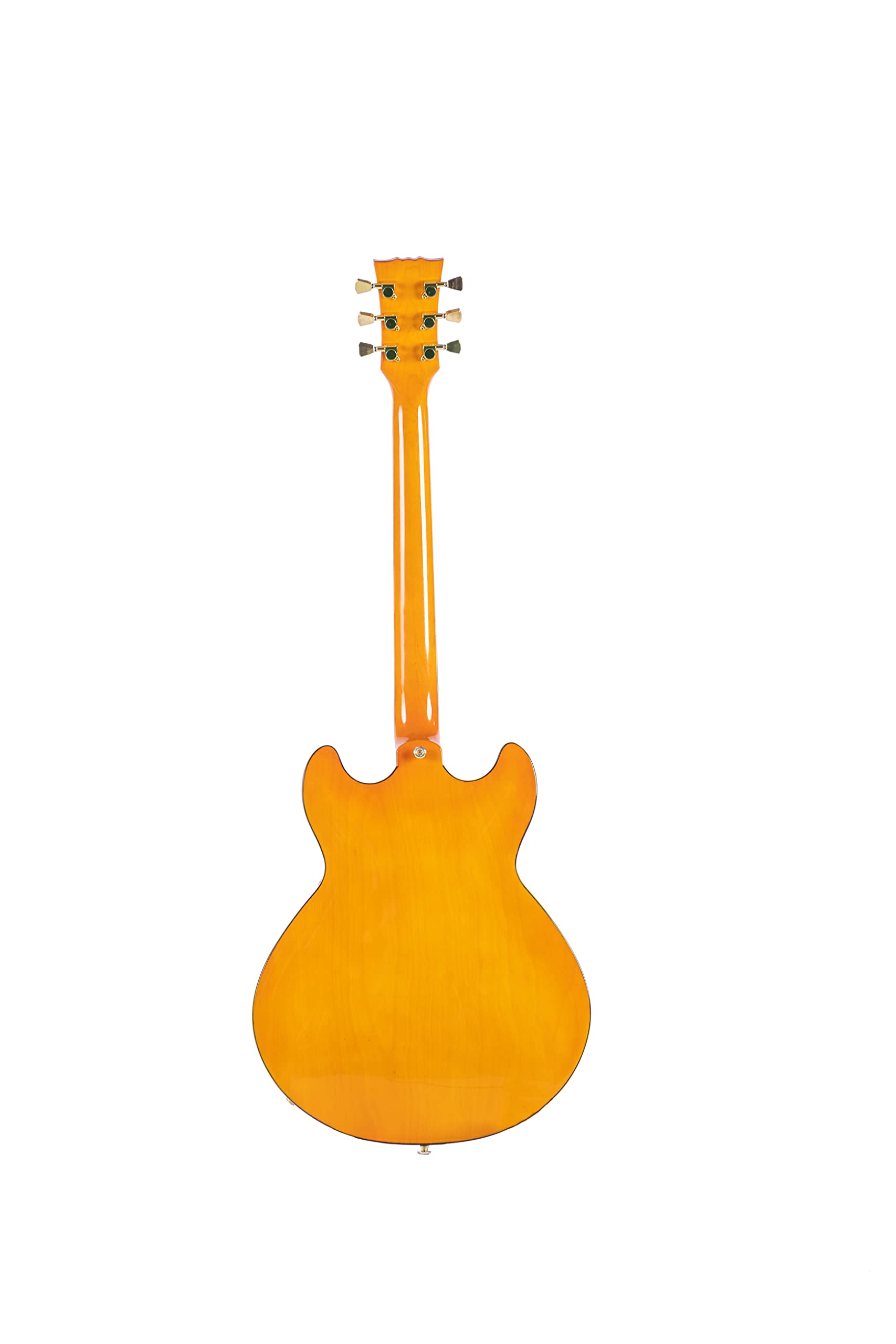 Acoustic Semi-Hollow-Body Electric Guitar, 6 Strings, Stainless Steel Frets, Full Size,Playing Jazz, Solo For Beginners Starters Intermediates and Professionals Right Handed Color Sky Bule