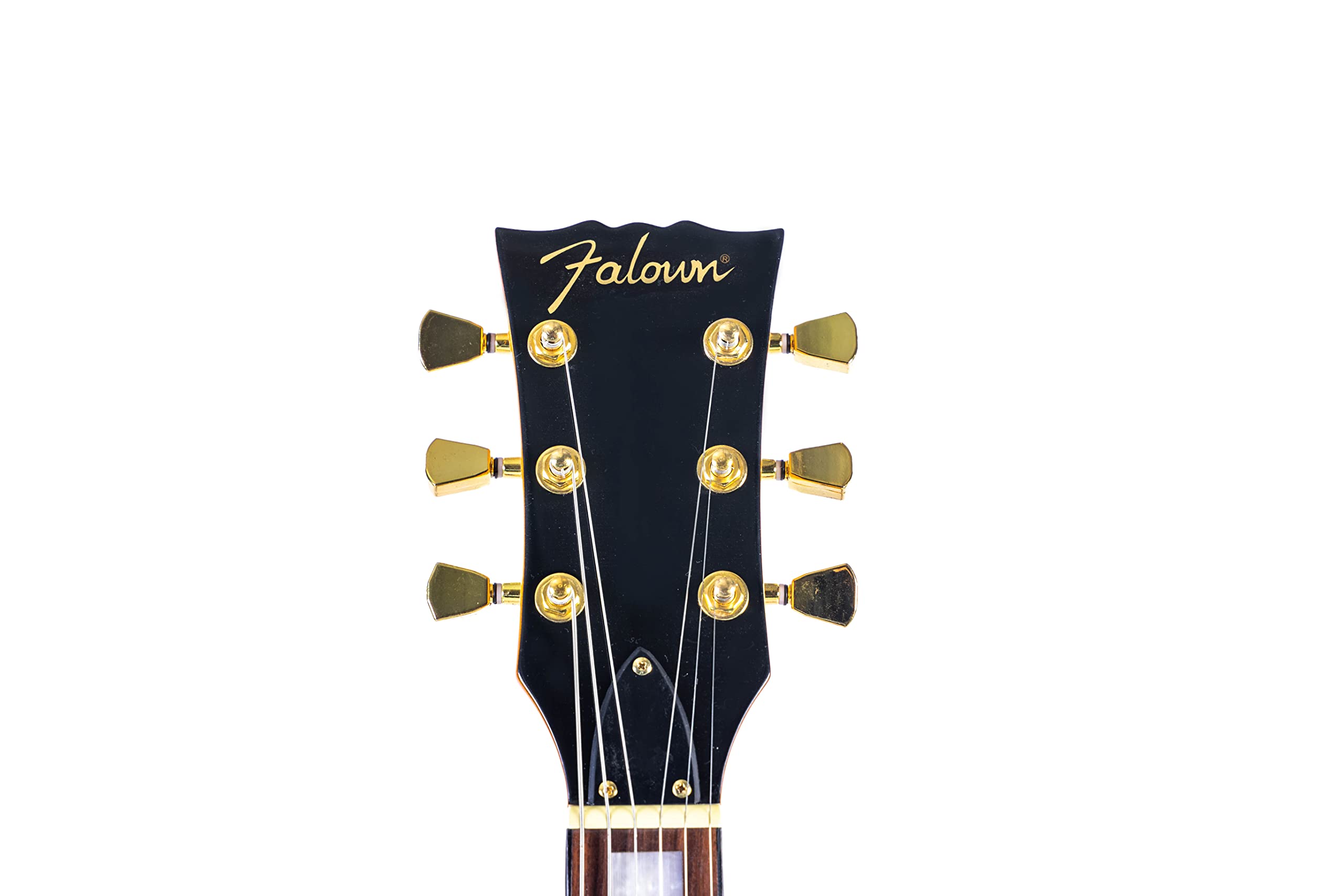 Acoustic Semi-Hollow-Body Electric Guitar, 6 Strings, Stainless Steel Frets, Full Size,Playing Jazz, Solo For Beginners Starters Intermediates and Professionals Right Handed Color Sky Bule