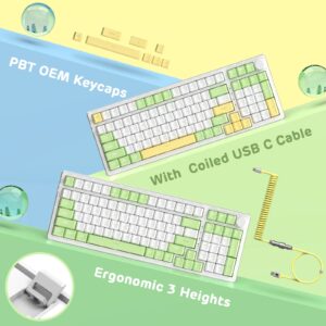 A.JAZZ AK992 99Keys Hot Swappable,Bluetooth/2.4G/Wired,Gasket Mount,RGB Backlight,Mechanical PC Gaming Keyboard,Coiled USB C Cable,Custom Clicky Switch,Knob Control,PBT Keycaps(Spring Green)