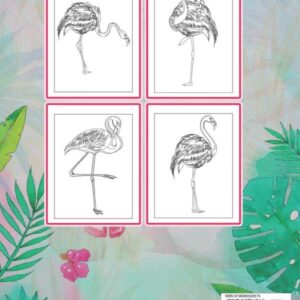 Flamingo Coloring Book for Kids: A Fun and Educational Flamingo Coloring Book for Kids of All Ages!