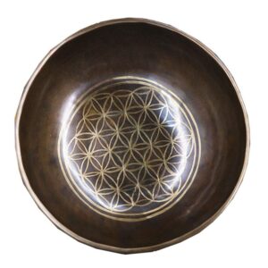 tibetan singing bowl tibetan singing bowl set meditation yoga sound bowl with mallet, silk cushion for yoga and stress relief meditation singing bowls (color : brass, size : 21x9cm)