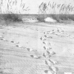 West Florida Footprints, No. 43, 2022