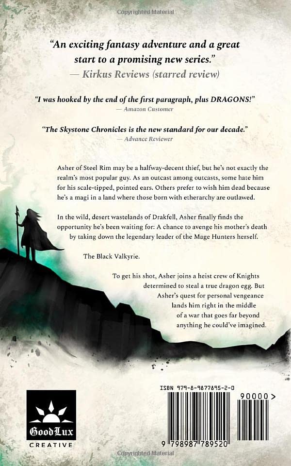 The Skystone Chronicles Book 1: Dragon Thief