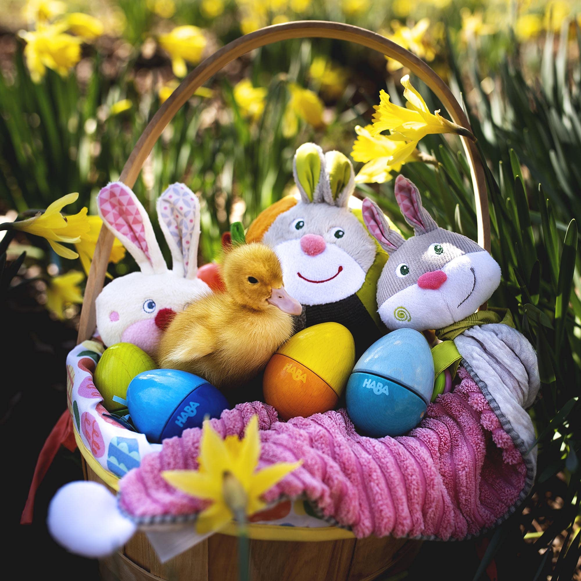 HABA Ultimate Easter Basket Toy Bundle - Musical Eggs, Bunny Teether, Hops Cuddly Lovey and Bunny Ball