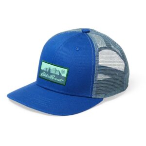 eddie bauer seamoss graphic logo hat, seamoss, one size