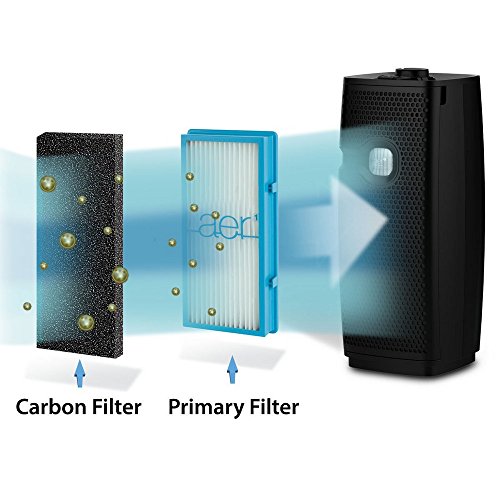 Holmes Carbon HAPF60, Filter C, Black, 4 Pack