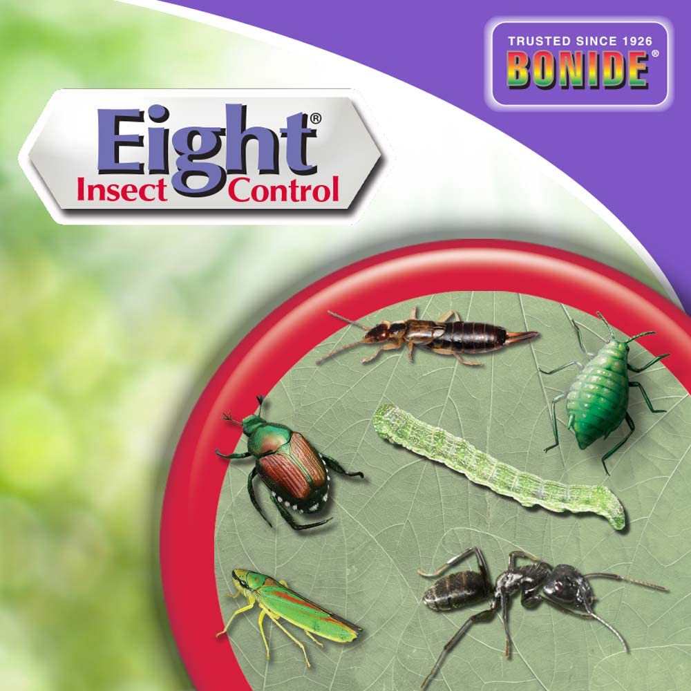 Bonide 428 Eight Insect Control Garden & Home Outdoor Insecticide, Kills Beetles, Ants, Aphids, 32 oz. Read - Quantity 1