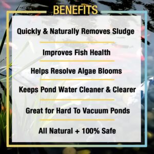 MICROBE-LIFT Sludge-Away Pond and Outdoor Water Garden Sludge and Muck Remover, Safe for Live Koi Fish, Plant Life, and Décor (32 Ounces)