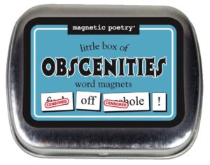 magnetic poetry - little box of obscenities kit - words for refrigerator - write poems and letters on the fridge - made in the usa