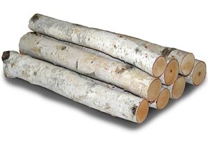 wilson 15.5"-17.5" decorative white birch logs, natural bark wood home décor - 1.5"-3" dia. (set of 8)