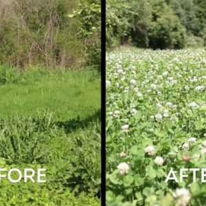 Whitetail Institute Slay Selective Broad-Leaf Weed Control Herbicide Specifically Developed for Deer Food Plots, 4 Ounces (1 acre)