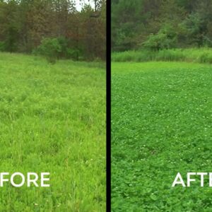 Whitetail Institute Slay Selective Broad-Leaf Weed Control Herbicide Specifically Developed for Deer Food Plots, 4 Ounces (1 acre)