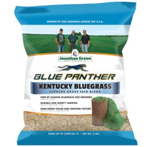 jonathan green (11970) blue panther kentucky bluegrass grass seed - cool season lawn seed (3 lb)