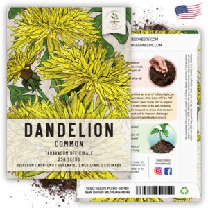 Seed Needs, Dandelion Seeds - 250 Heirloom Seeds for Planting Taraxacum officinale - Non-GMO & Untreated - Great for Tortoises, Rabbits & Bearded Dragons (2 Packs)