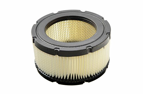 Tecumseh 37452 Air Filter