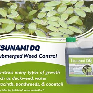 Tsunami DQ Aquatic Herbicide- Quart - 37.3 Percent Diquat Dibromide – Concentrated Aquatic Weed Killer for Lakes and Ponds - Duckweed, Watermeal, Curly Leaf, Pondweed & Many More