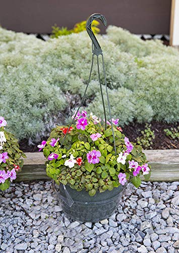 Curtis Wagner 10" Clear Hanging Basket Drip Pan Saucer (10-Pack)