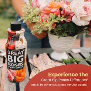 Great Big Roses – Soil and Rose Fertilizer Booster to Grow The Best Roses and Flowers; Rose Food Compost Extract for Rose Bush, 32 Ounce Concentrate (Makes 8 Gallons)