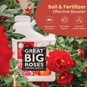 Great Big Roses – Soil and Rose Fertilizer Booster to Grow The Best Roses and Flowers; Rose Food Compost Extract for Rose Bush, 32 Ounce Concentrate (Makes 8 Gallons)