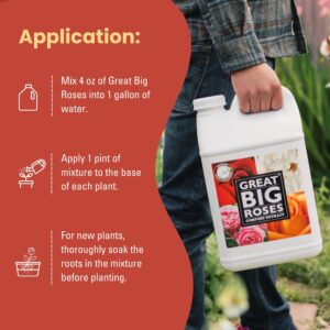 Great Big Roses – Soil and Rose Fertilizer Booster to Grow The Best Roses and Flowers; Rose Food Compost Extract for Rose Bush, 32 Ounce Concentrate (Makes 8 Gallons)