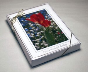 photographer's edge cleartop greeting card box, for 5" x 7" (a-7) cards, qty 50