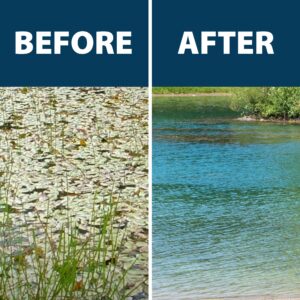 Airmax Ultra Pondweed Defense Aquatic Weed & Plant Killer, Easy Spray Application to Clean & Clear Large Pond & Lake Water, Liquid Treatment Control Concentrate, Fish Safe, 1 Quart