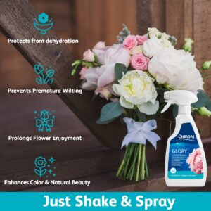 Chrysal Professional Glory Flower and Foliage Finish — Floral Supplies for Fresh Flowers — Spray for Fresh Cut Flower Arrangements — Cut Flower Preservative Spray — Ideal Florist Supplies